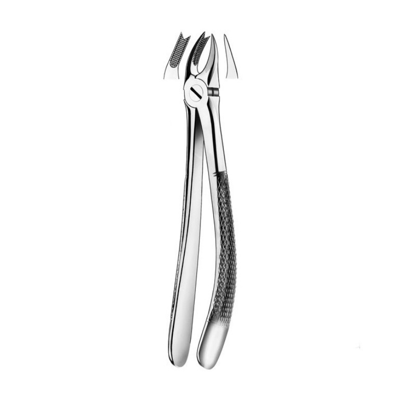 Forceps Molar Superior de Carl Martin