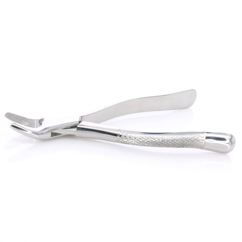 Fórceps Forma Americana Premolares Universal de Masters.