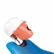 Fantomas Dentales - DentalCost