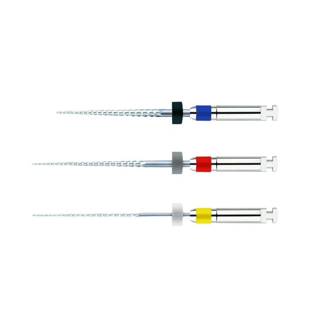 Limas NiTi Hero 642 Conicidad 04 L 21 mm Conformado 6u MicroMega