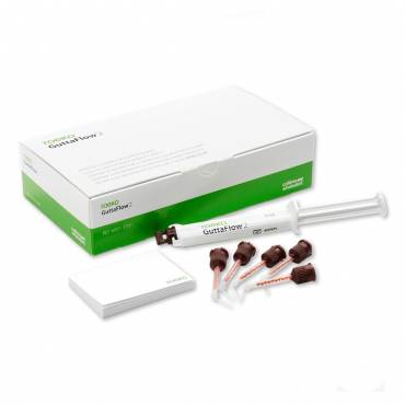 GuttaFlow 2 Standard Set Obturación en Frío Jeringa 5ml + Acc. Roeko
