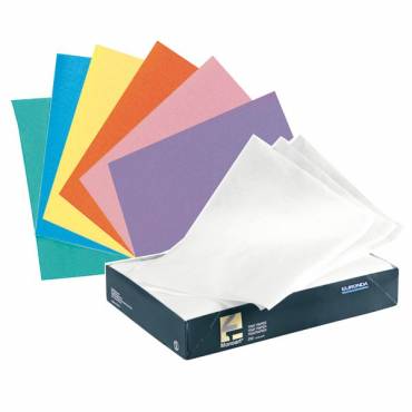 Papel Absorbente Bandejas 28x18cm. Varios Colores 250u. de Euronda