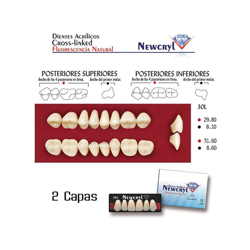Dientes Acrílicos Newcryl Inferiores Color A2 de New Stetic