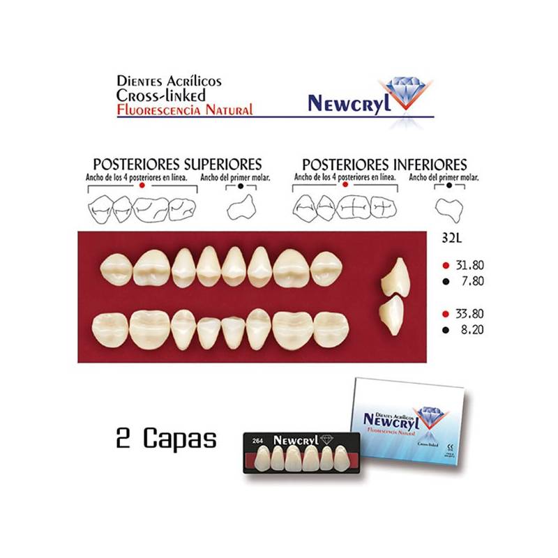 Dientes Acrílicos Newcryl Inferiores Color B4 de New Stetic